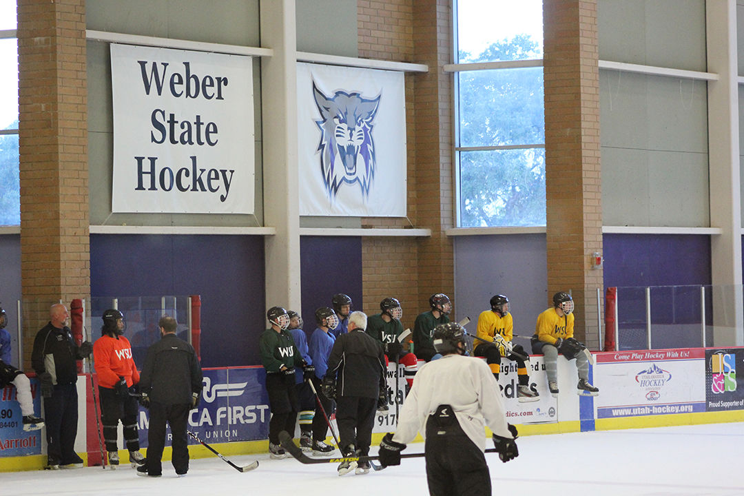 WSU club hockey built from the ground up | News, Sports, Jobs ...